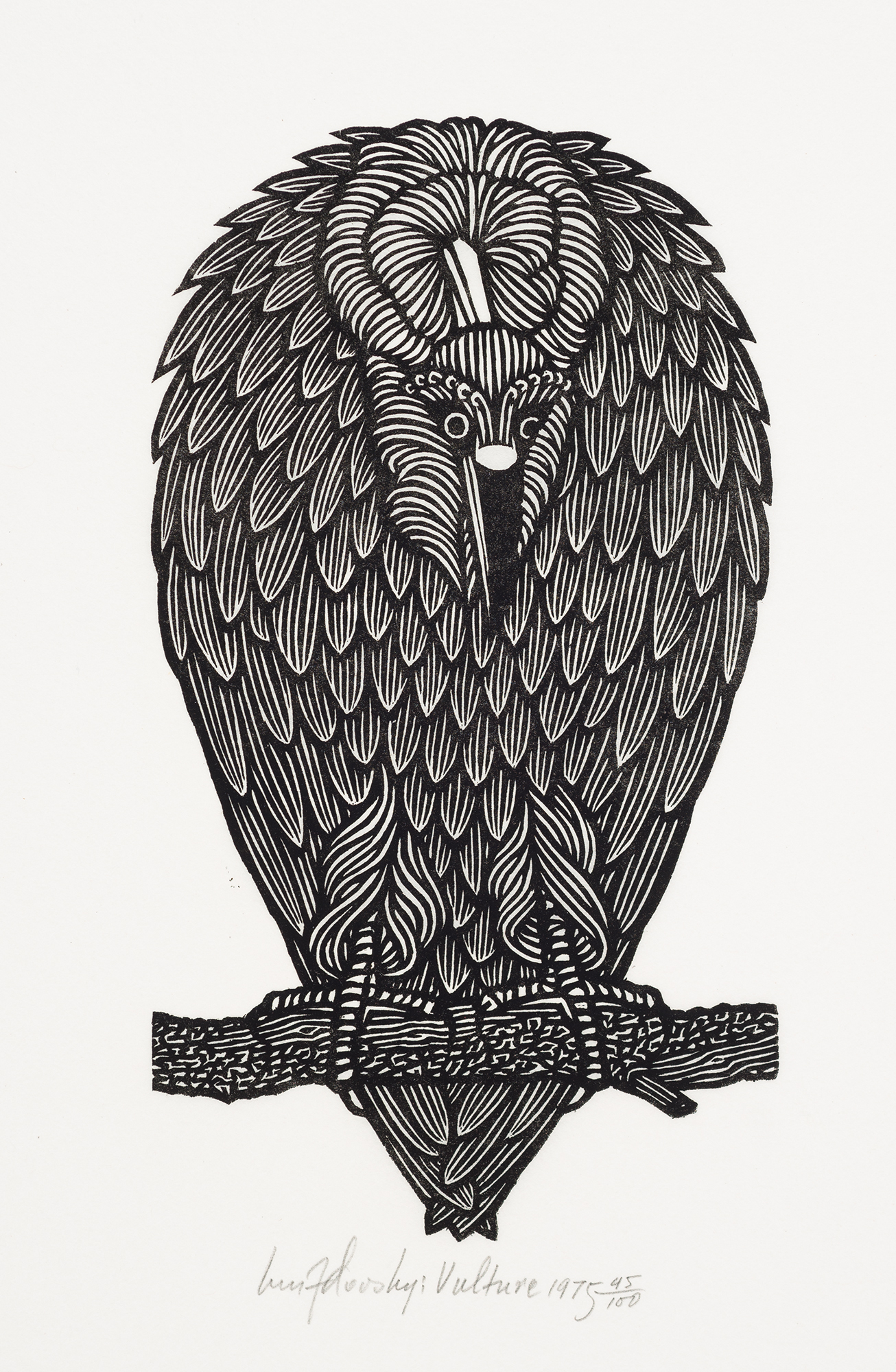 Vulture - Wichita Art Museum