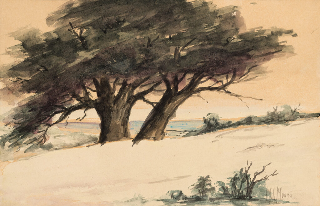 Windblown Trees, California - Wichita Art Museum
