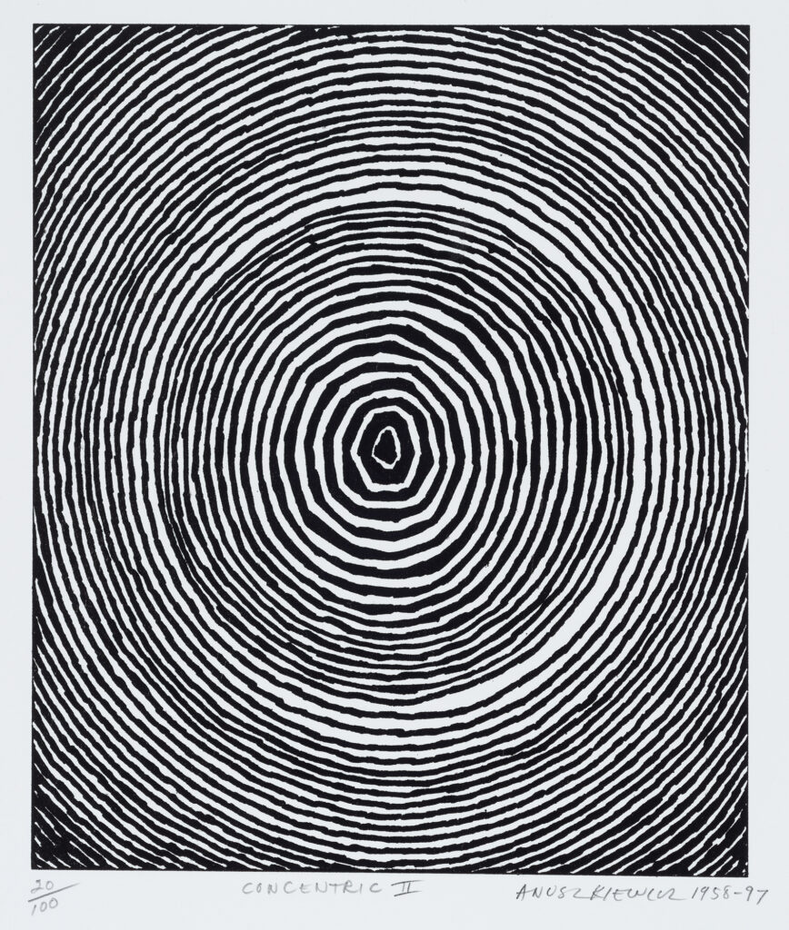 Concentric II - Wichita Art Museum