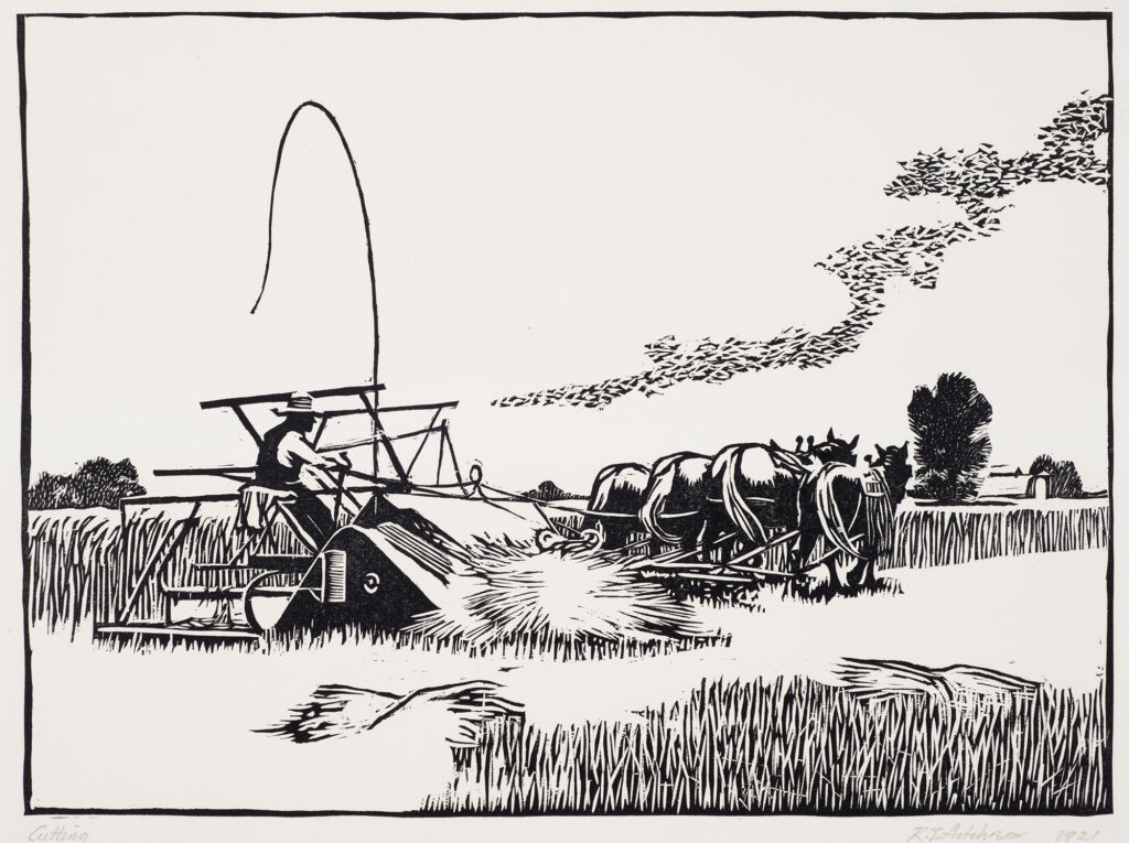 Cutting - Wichita Art Museum