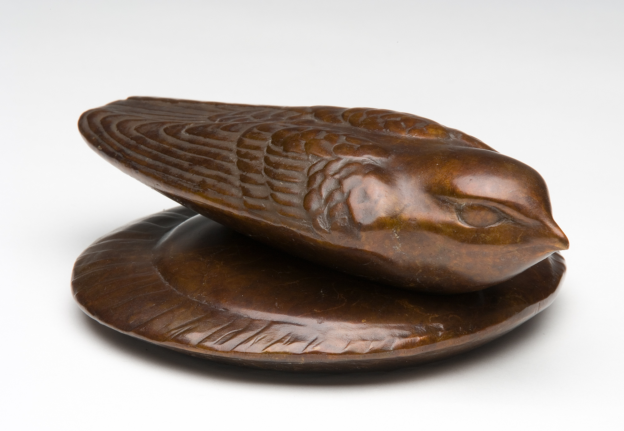 Nesting Nightbird - Wichita Art Museum