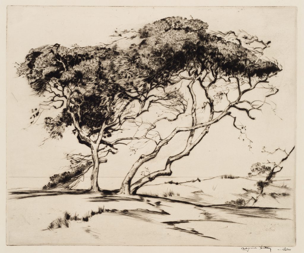 Sea Island Trees - Wichita Art Museum