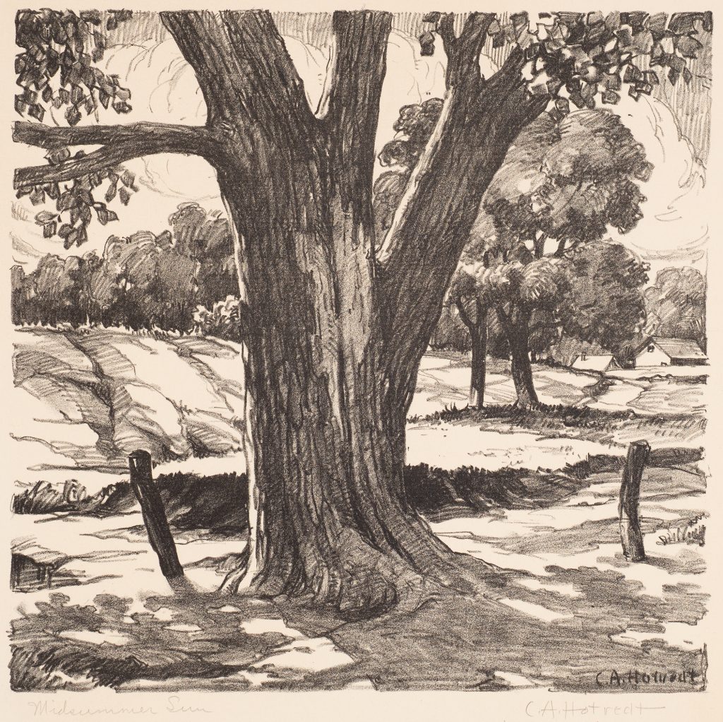 Midsummer Sun - Wichita Art Museum