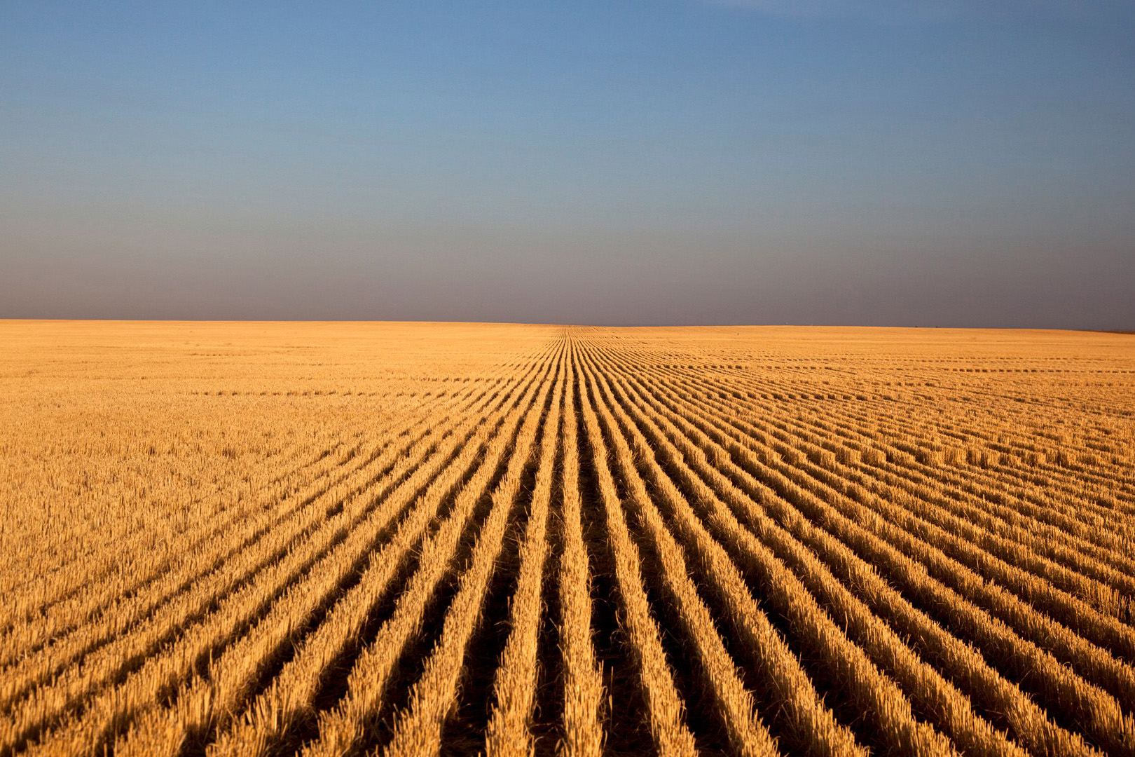 Kansas Land: Farm Photography by Larry Schwarm - Wichita Art Museum